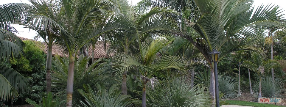 Image slider