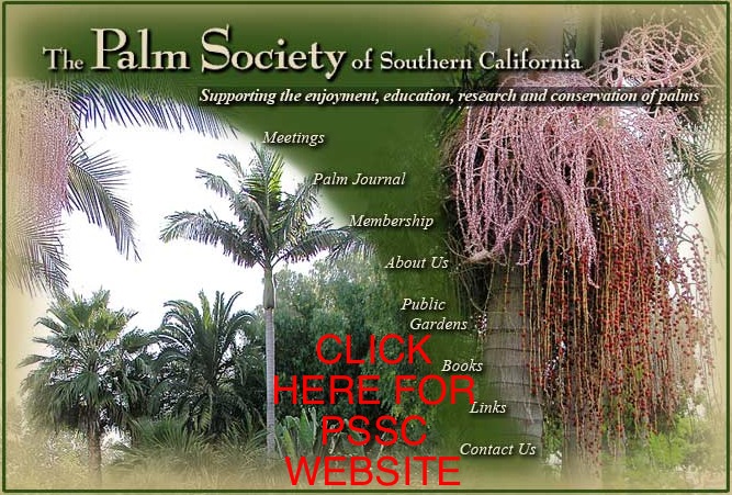 PALM SOCIETY OF SOUTHERN CALIFORNIA - Palmpedia - Palm Grower's Guide