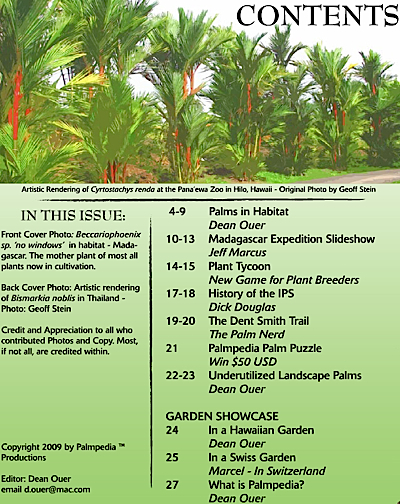 First Online Multimedia Palm Magazine - DISCUSSING PALM TREES WORLDWIDE ...