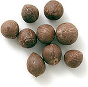 Butia eriospatha - Palmpedia - Palm Grower's Guide