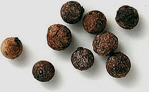 Thrinax excelsa - Palmpedia - Palm Grower's Guide