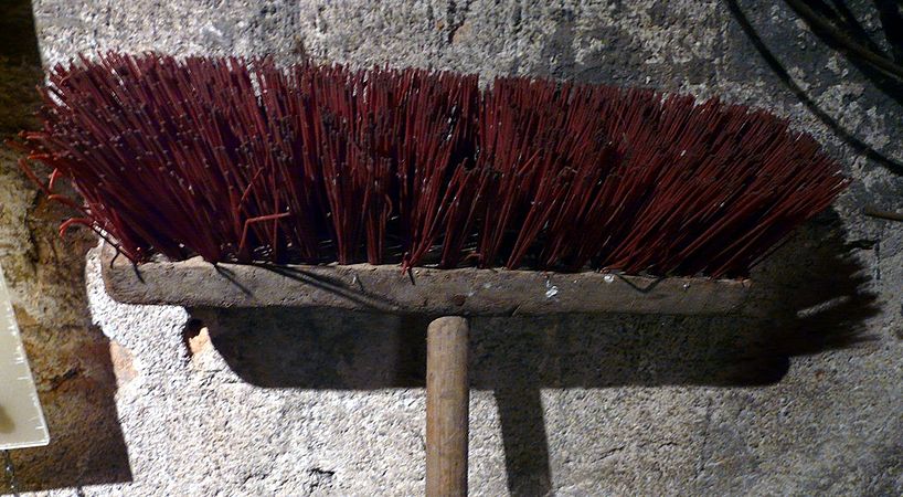 Leopoldinia piassaba - Palmpedia - Palm Grower's Guide