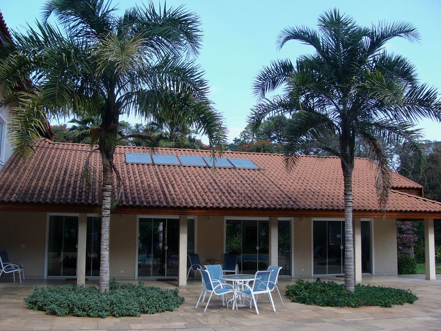 Syagrus picrophylla - Palmpedia - Palm Grower's Guide