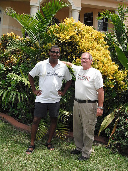 YELLOW PETRA - Palmpedia - Palm Grower's Guide