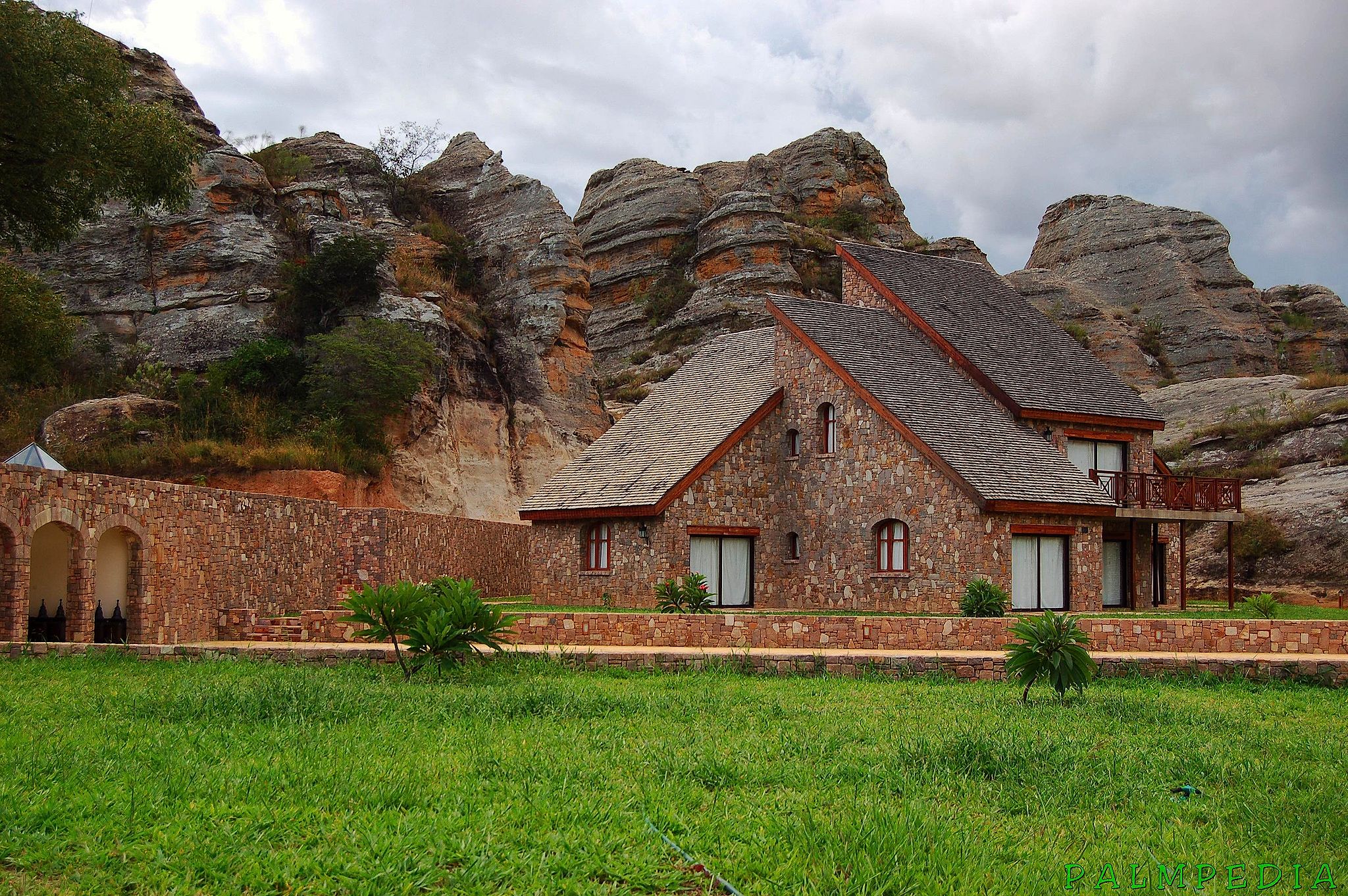 Palmpedia - Palm Grower's Guide:MadArch3 - Palmpedia - Palm Grower's Guide